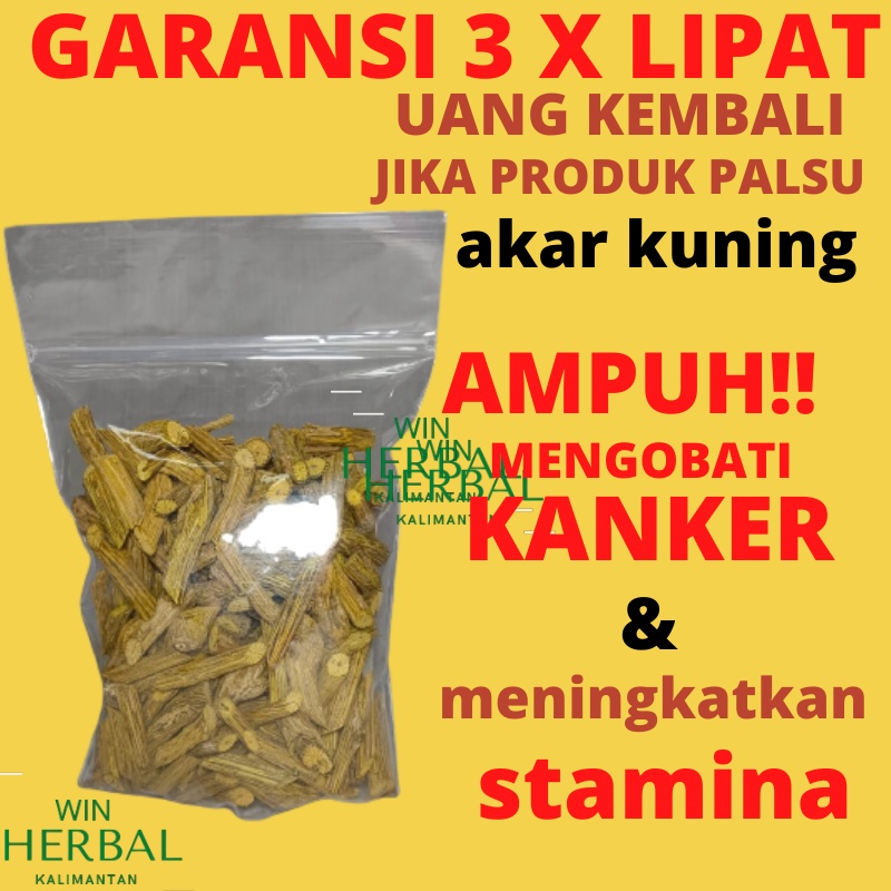 Jual akar kayu bajakah kuning asli kalimantan 1 kg | Shopee Indonesia