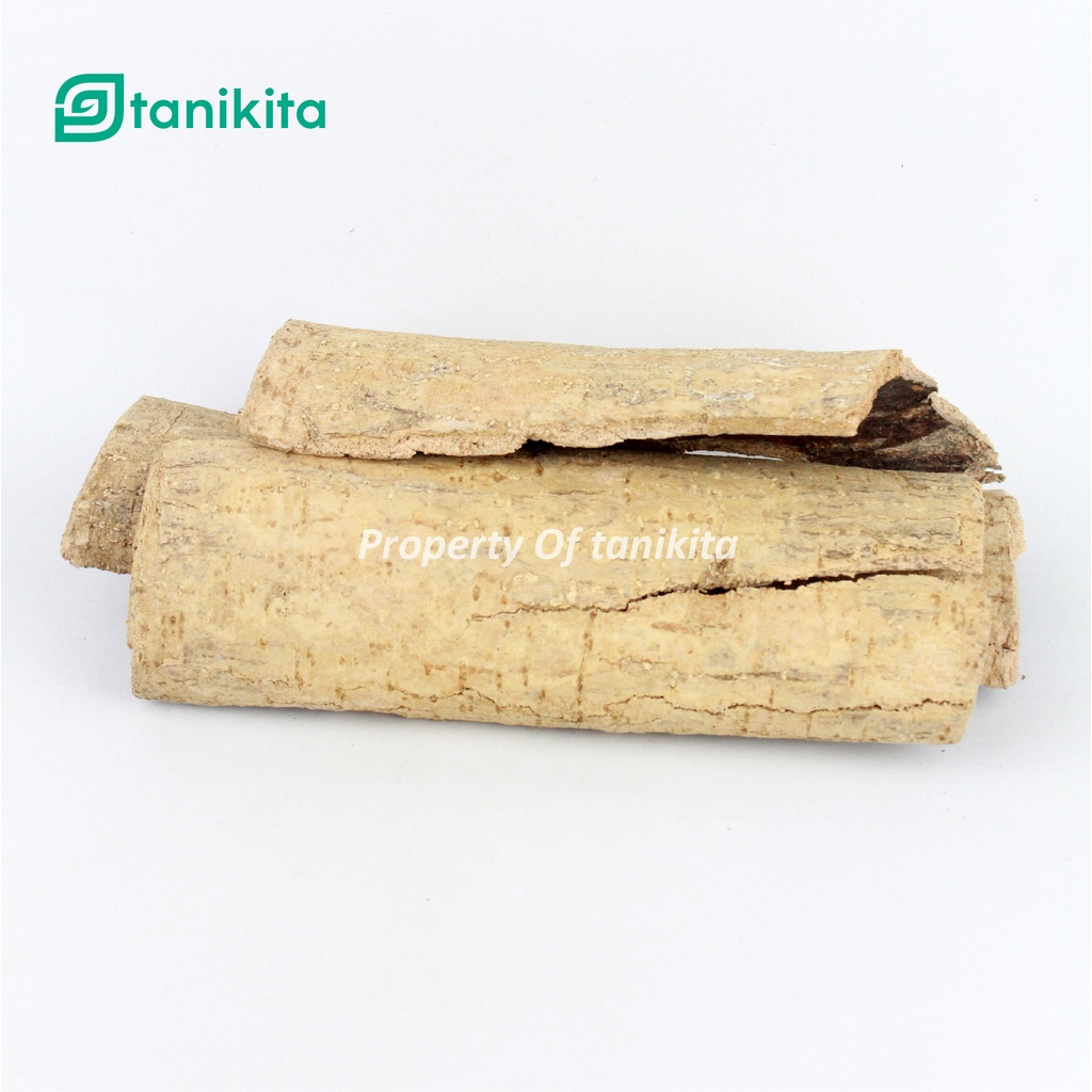 Jual Kulit Kayu Pule Kering 1Kg | Shopee Indonesia
