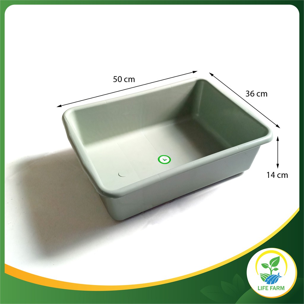 Jual Baskom Abu Abu Kotak Segi 50cm Hidroponik | Shopee Indonesia