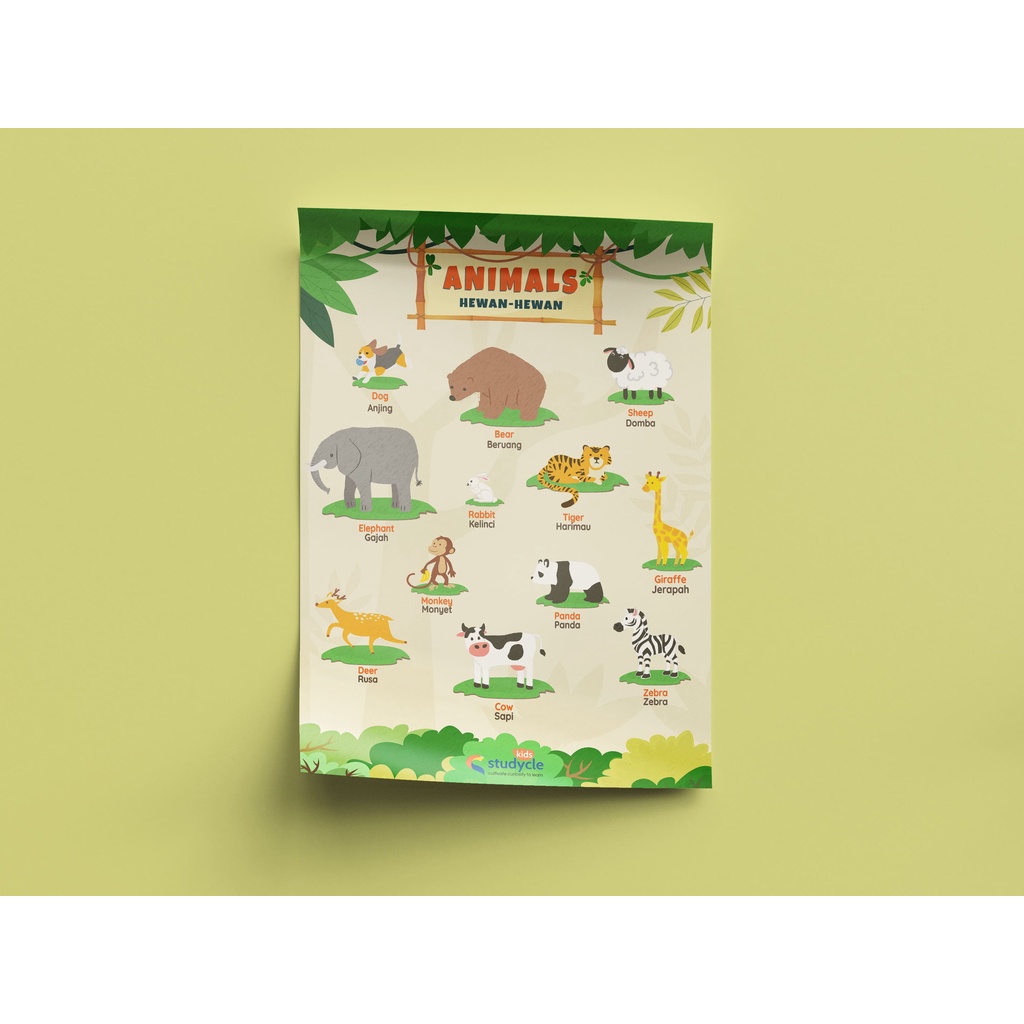 Produk Studycle Kids | Shopee Indonesia