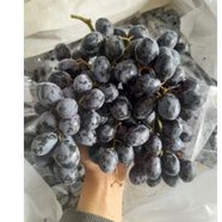 Jual Anggur Autumn Chili | Shopee Indonesia