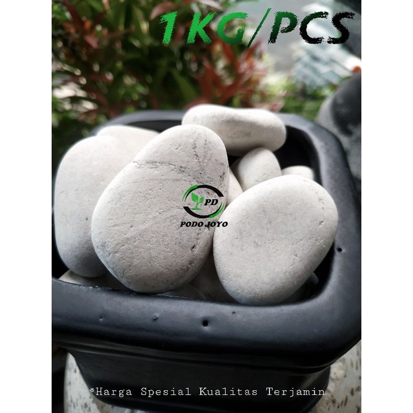 Jual Batu Koral Alam Putih / Batu Hias Taman / Batu Hias Pot Tanaman 1KG | Shopee Indonesia