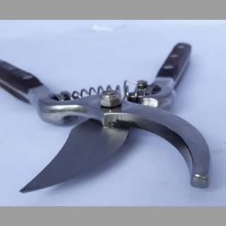 Gunting Tanaman Gunting Stek Gunting Dahan Prohex 8.5 inch | Shopee ...