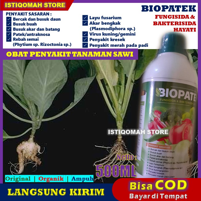 Jual BIOPATEK 500ml Fungisida & Bakterisida Hayati Obat untuk Cara Mengatasi Akar Gada pada ...