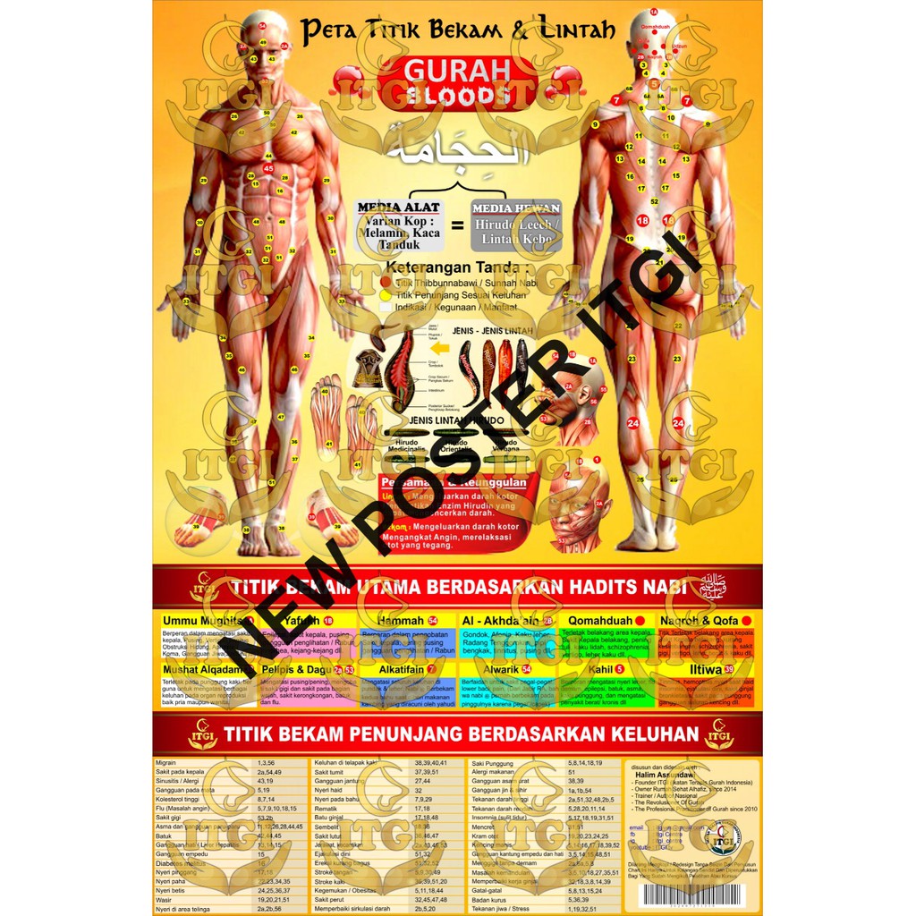 Jual POSTER TITIK BEKAM DAN LINTAH | Shopee Indonesia