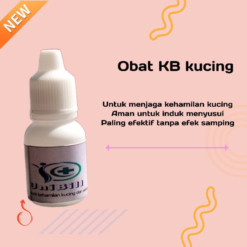 Jual Kucing Dudul Terlengkap & Harga Terbaru Januari 2023 | Shopee ...