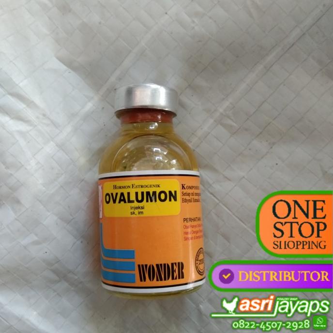 Harga Estrogen Terbaru Juli 2022 |BigGo Indonesia