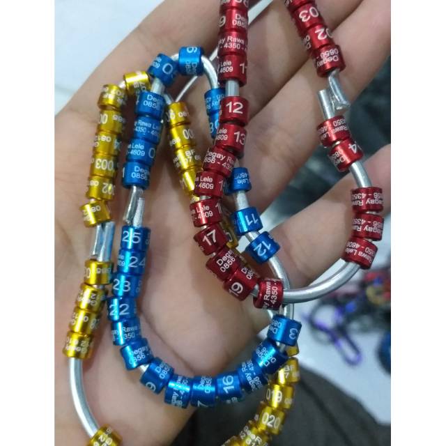 Jual Ring burung laser standar 25 pcs | Shopee Indonesia