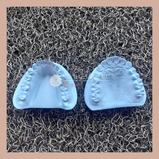 Jual Dental Model Study gips / model gigi gips / model study gipsum ...