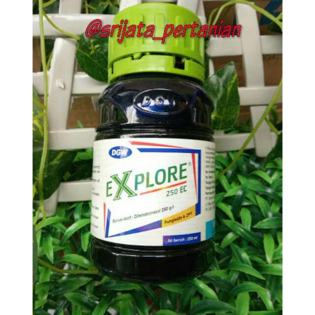 FUNGISIDA + ZPT EXPLORE 250 EC 250 ml | Shopee Indonesia