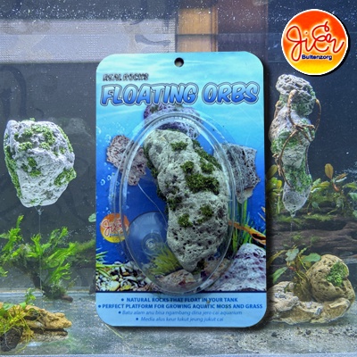 Jual Floting Orbs M ( Aquascape, Aquascaping, Aquarium ) | Shopee Indonesia