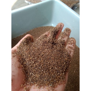 Jual PUPUK KERING KASGOT/PUPUK ORGANIK 1KG NUTRISI MEDIA TANAMAN ...