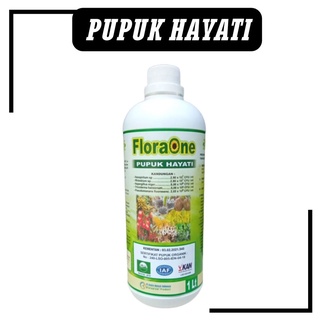 Jual Pupuk Hayati Cair Flora One Pelebat Buah Mangga, Pupuk Perangsang Mangga Cepat Berbuah ...