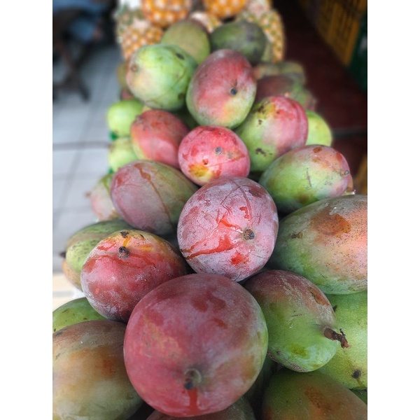 Jual Mangga Brazil/Erwin 1kg | Shopee Indonesia