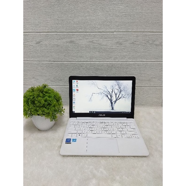 Jual Netbook Asus VivoBook | Shopee Indonesia