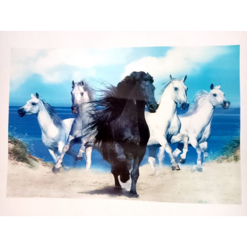 Jual POSTER KUDA 3 DIMENSI UKURAN 58X38 cm (terlihat hidup dan nyata ...