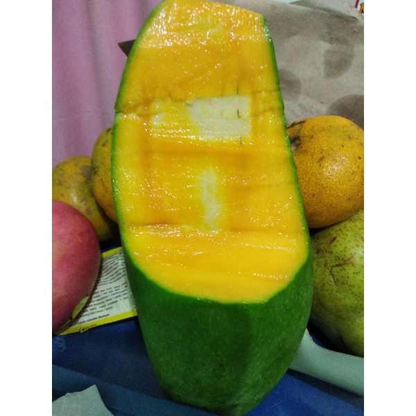 Jual buah mangga Kiojay super Indonesia|Shopee Indonesia