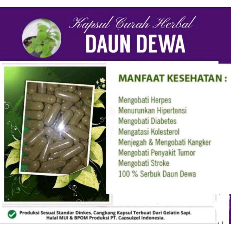 Jual Kapsul Curah herbal daun Dewa 100 pcs | Shopee Indonesia