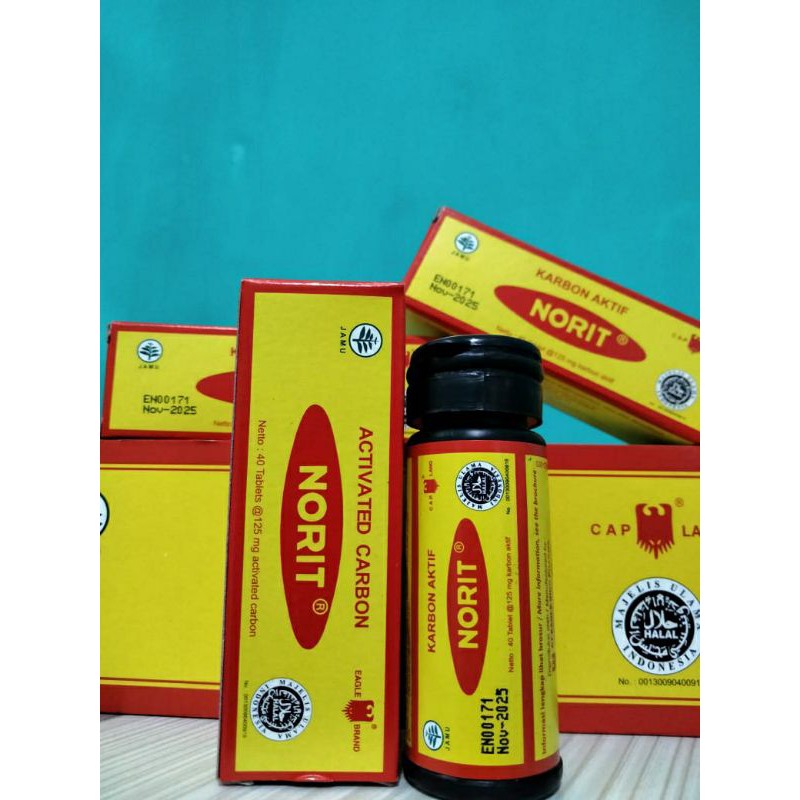 Jual NORIT OBAT DIARE Indonesia|Shopee Indonesia