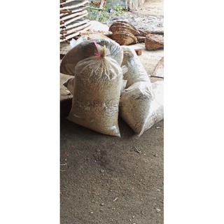 Jual IKAN-RUCAH Indonesia|Shopee Indonesia