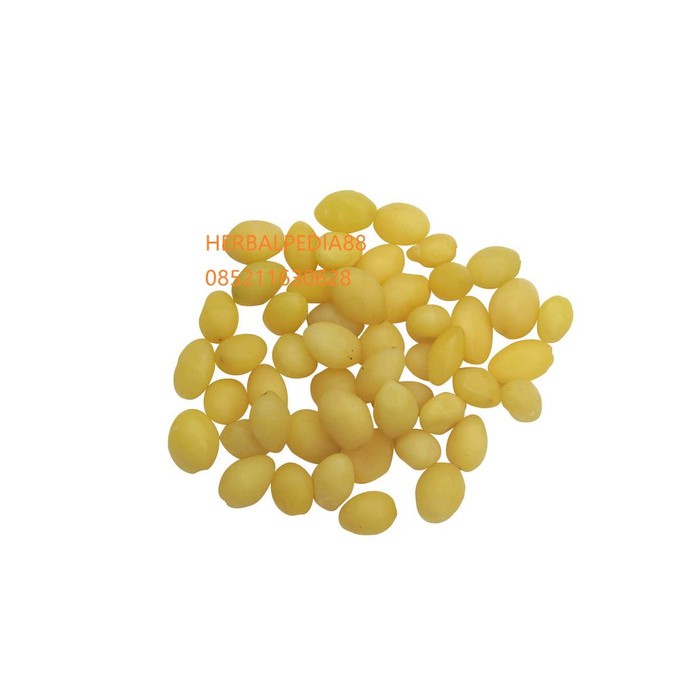 Jual bai guo Semen Ginkgo Ginkgo Nut 100 gram | Shopee Indonesia