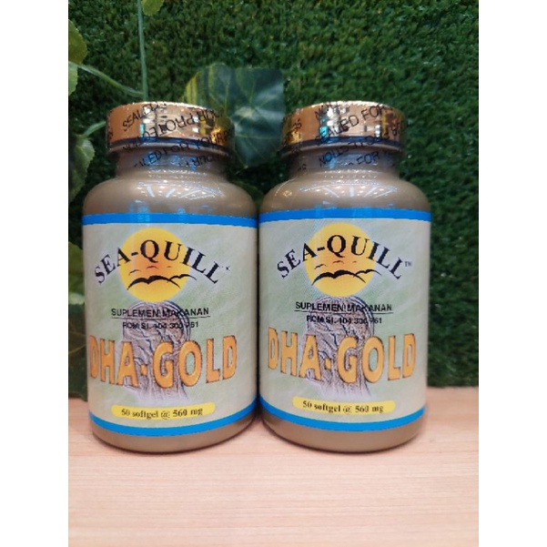Jual SEA-QUILL DHA GOLD 560 MG - 50 KAPSUL | Shopee Indonesia