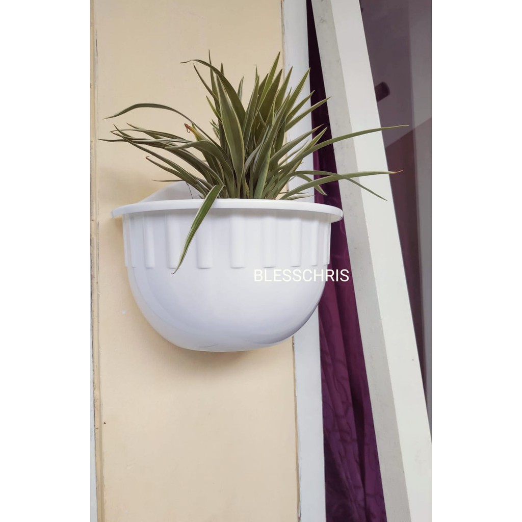 Jual POT DINDING 22 / POT TEMBOK / POT GANTUNG / POT BUNGA PUTIH HIJAU ...