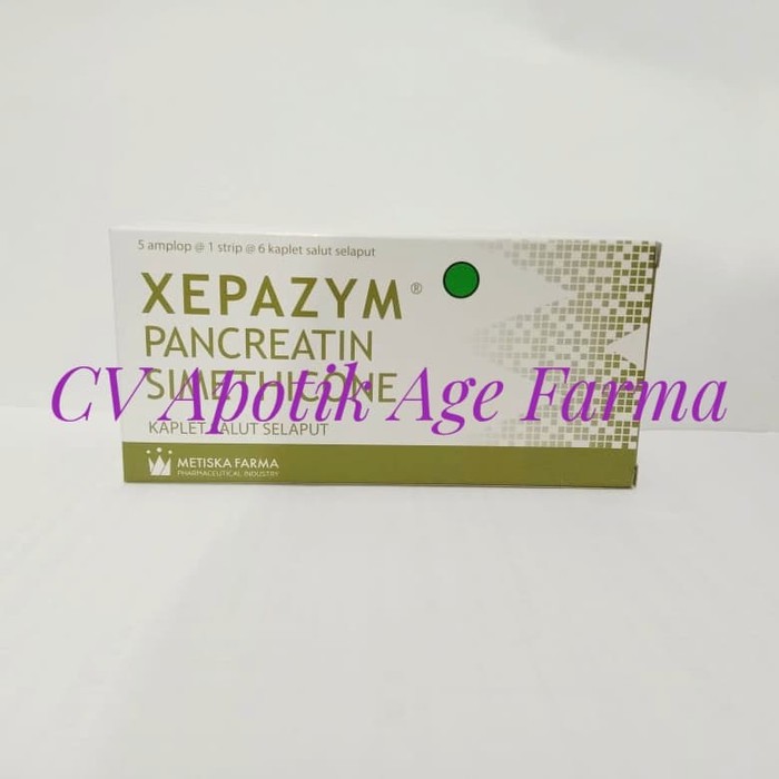 Xepazym Caplet isi 30 (Metiska Farma) | Shopee Indonesia