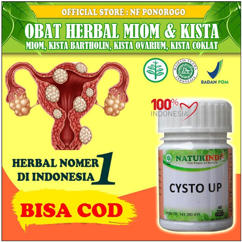 Jual CYSTO UP Obat Kista Ovarium Bartholin Miom Dan Kista Herbal Kista ...