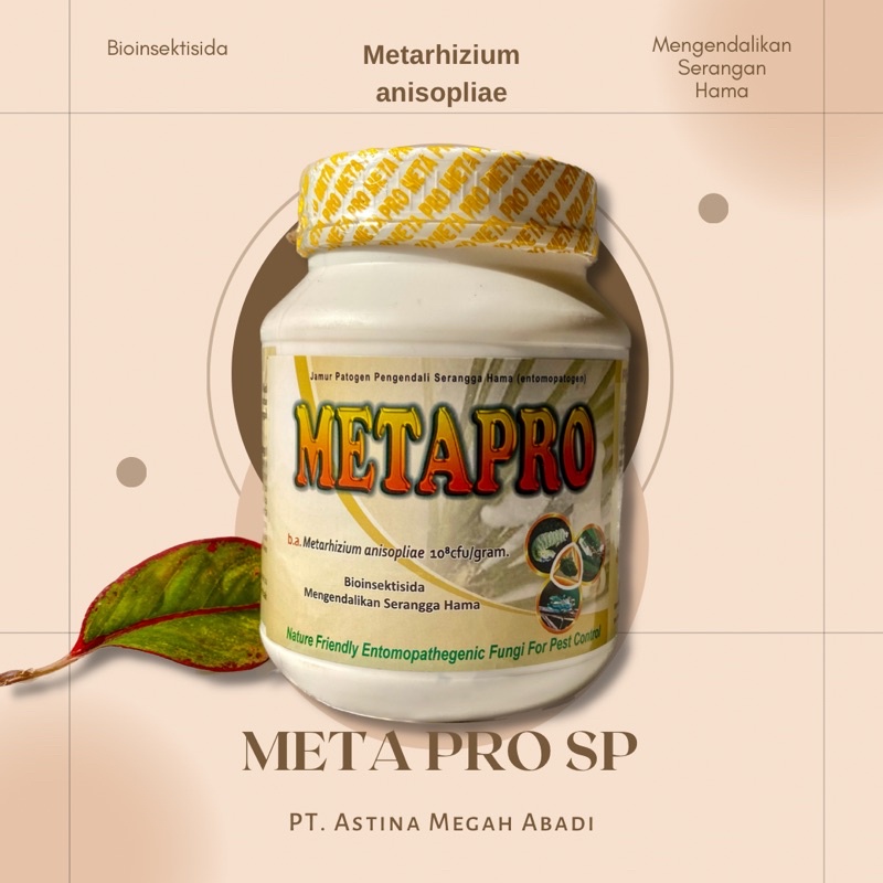 Jual META PRO SP Metarhizium anisopliae Bioinsektisida Pengendali ...