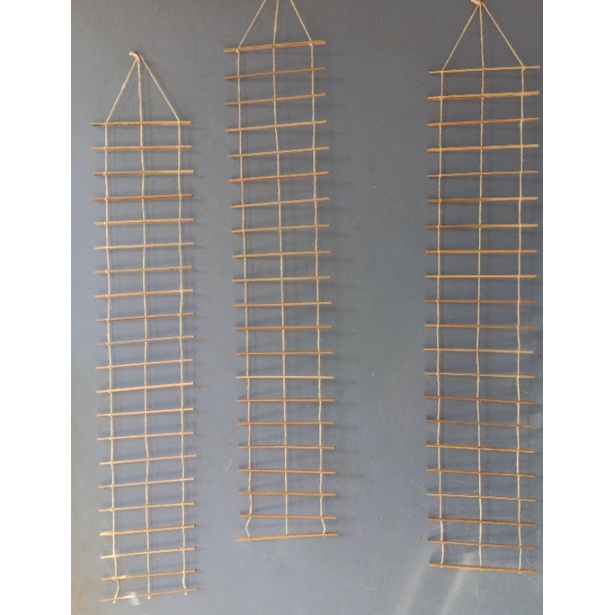 Jual Media rambatan pohon rambat tanaman hias bunga rambat | Shopee ...