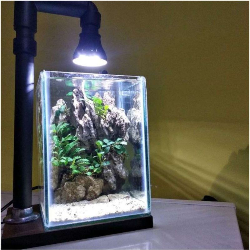 Jual Aquarium ikan cupang Ikan cupang halfmoon Soliter tempat ikan ...