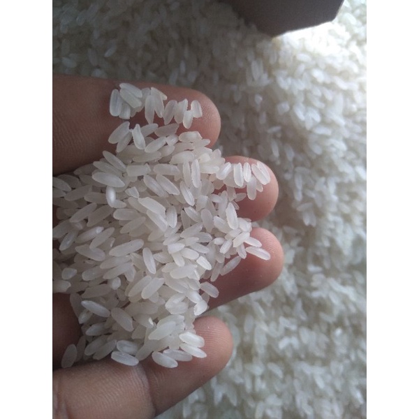 Jual beras pera premium kualitas / bagus cocok buat nasi goreng atau ... Jual beras pera premium kualitas / bagus cocok buat nasi goreng atau ...