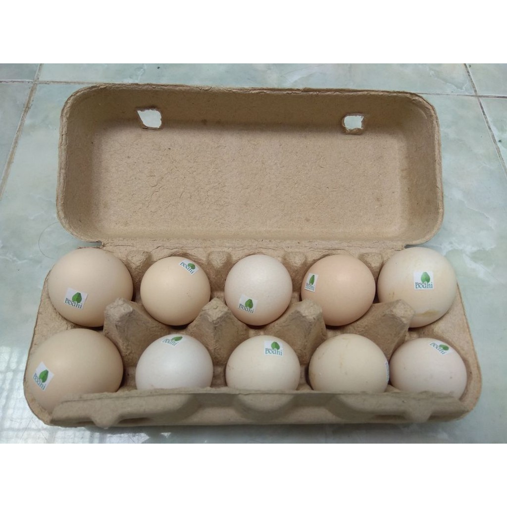 Jual Telur ayam kampung organik Indonesia|Shopee Indonesia