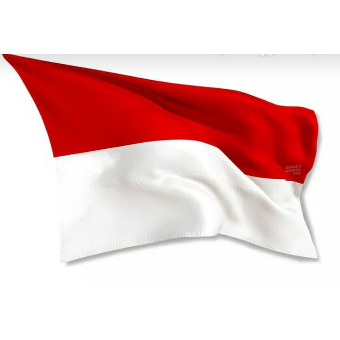 Jual Bendera custom | Shopee Indonesia