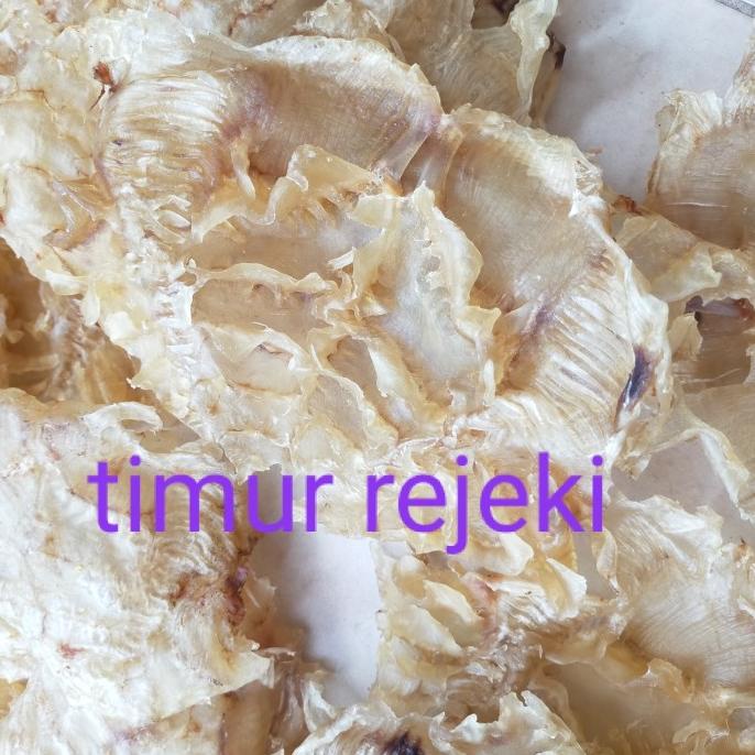 Harga Perut Ikan Hipio Kering Terbaru September 2022 |BigGo Indonesia