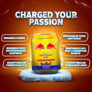 Jual Red Bull Minuman Energi Kemasan Kaleng 250ml Indonesia|Shopee ...