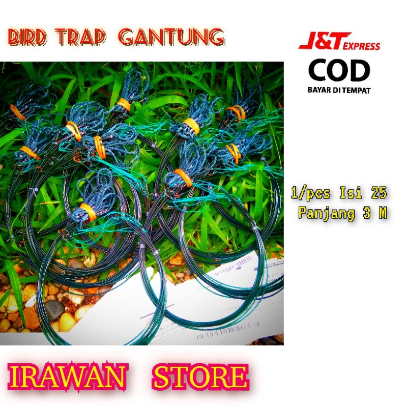 Jual Bird Trap Truok Berburu Menggunakan alat ini | Shopee Indonesia