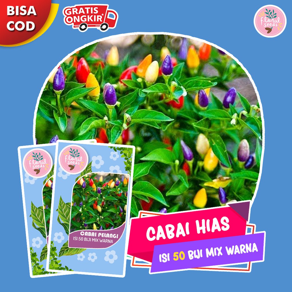 Jual Benih Bunga Cabe Hias Pelangi Isi 50 Biji Mix Warna | Shopee Indonesia