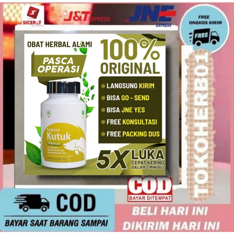 Jual Kapsul Kutuk Ikan Gabus - Penambah Albumin Tubuh - 5x Luka Lebih Cepat Kering Pasca Operasi ...