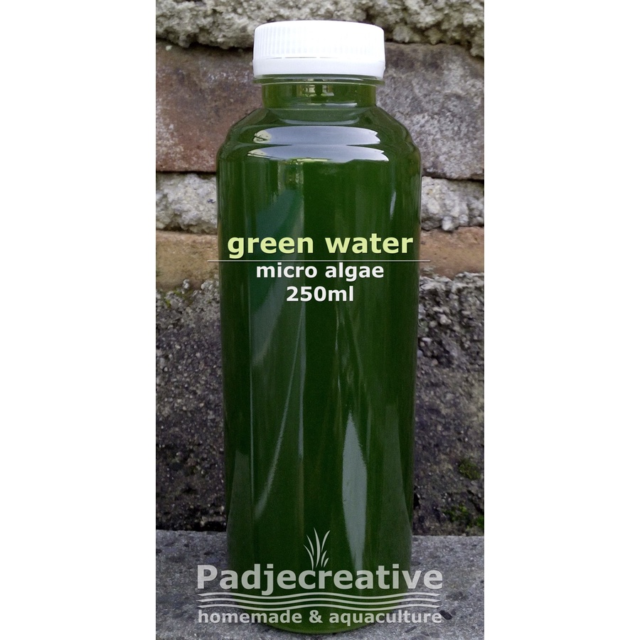 Jual Starter Green Water Micro Algae Zooplankton Liquid Feed 250ml ...