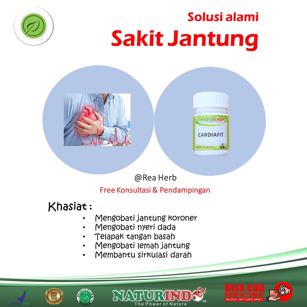 Jual Obat Sakit Jantung Nyeri Jantung Koroner Gagal Jantung Lemah ... Jual Obat Sakit Jantung Nyeri Jantung Koroner Gagal Jantung Lemah ...