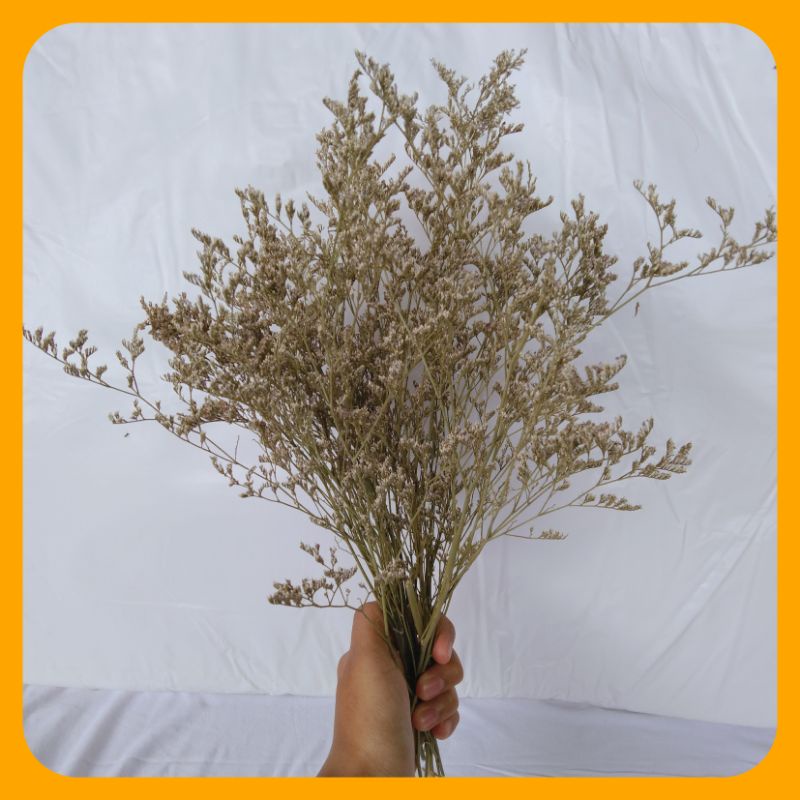 Jual Bunga Caspea Kering / Lovergrass Natural Indonesia|Shopee Indonesia