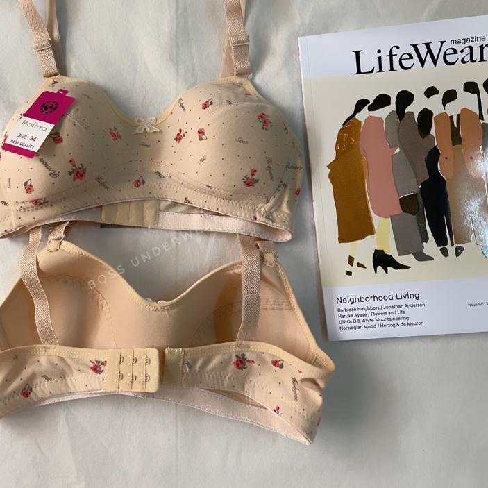 Harga BH Lucu Surabaya Terbaru Nov 2024 |BigGo Indonesia