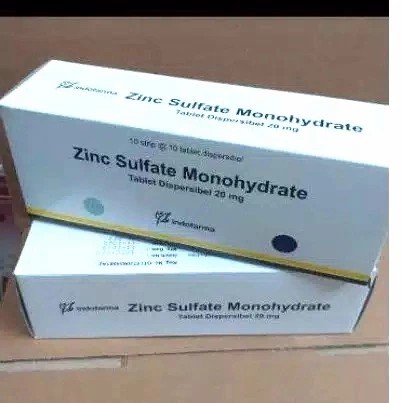 Jual ZINC TABLET ZINC SULFATE | Shopee Indonesia