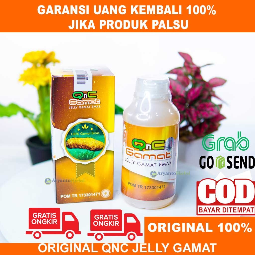 Produk Jelly Gamat Official | Shopee Indonesia