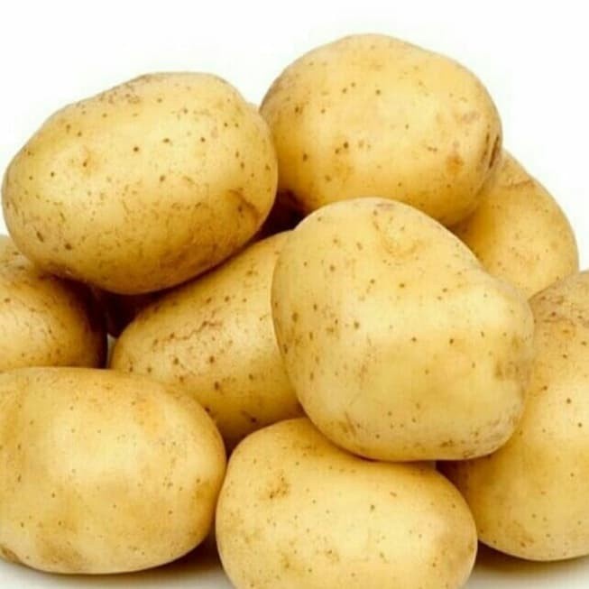 Jual Kentang Dieng Segar / Potato Dieng Fresh Yellow Berkat Foods ...