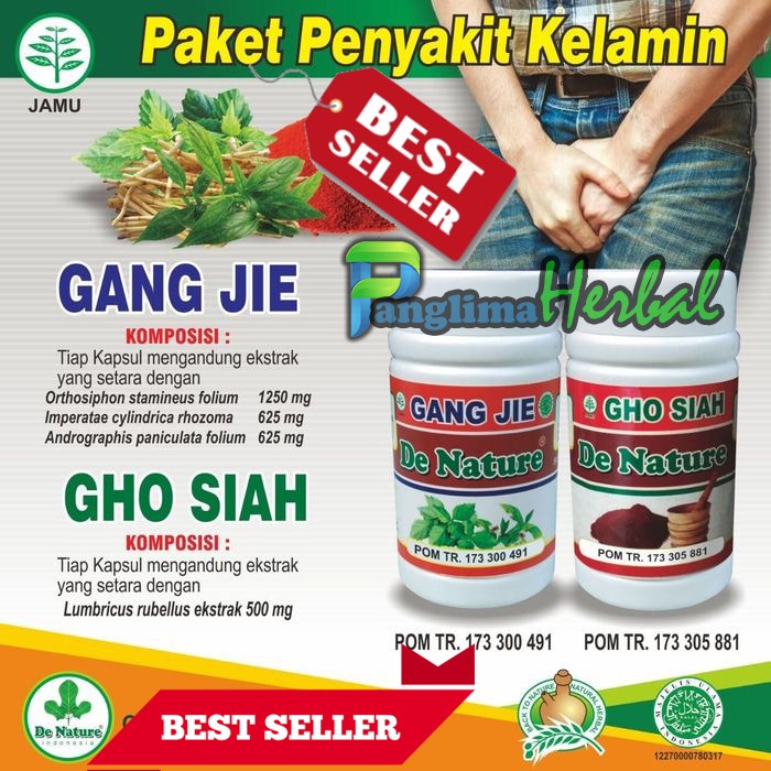 Obat ISK sifilis sipilis gonore kencing nanah Ramuan Herbal Penyembuh ...