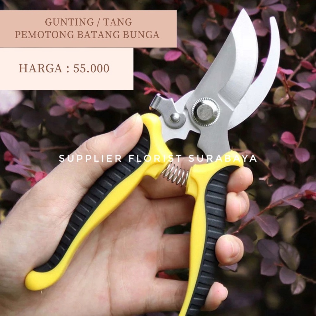 Jual TANG GUNTING DAHAN POHON BATANG BUNGA ASLI PERLENGKAPAN PERKEBUNAN ...