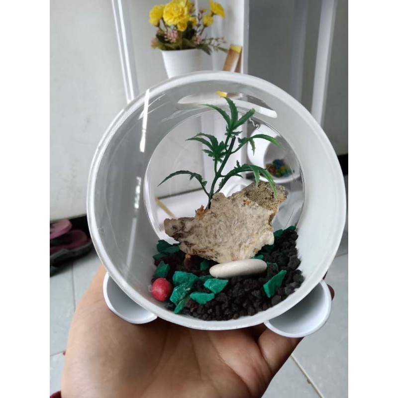 Jual Aquarium mini cupang,gupy,ikan balon/ikan kecil | Shopee Indonesia